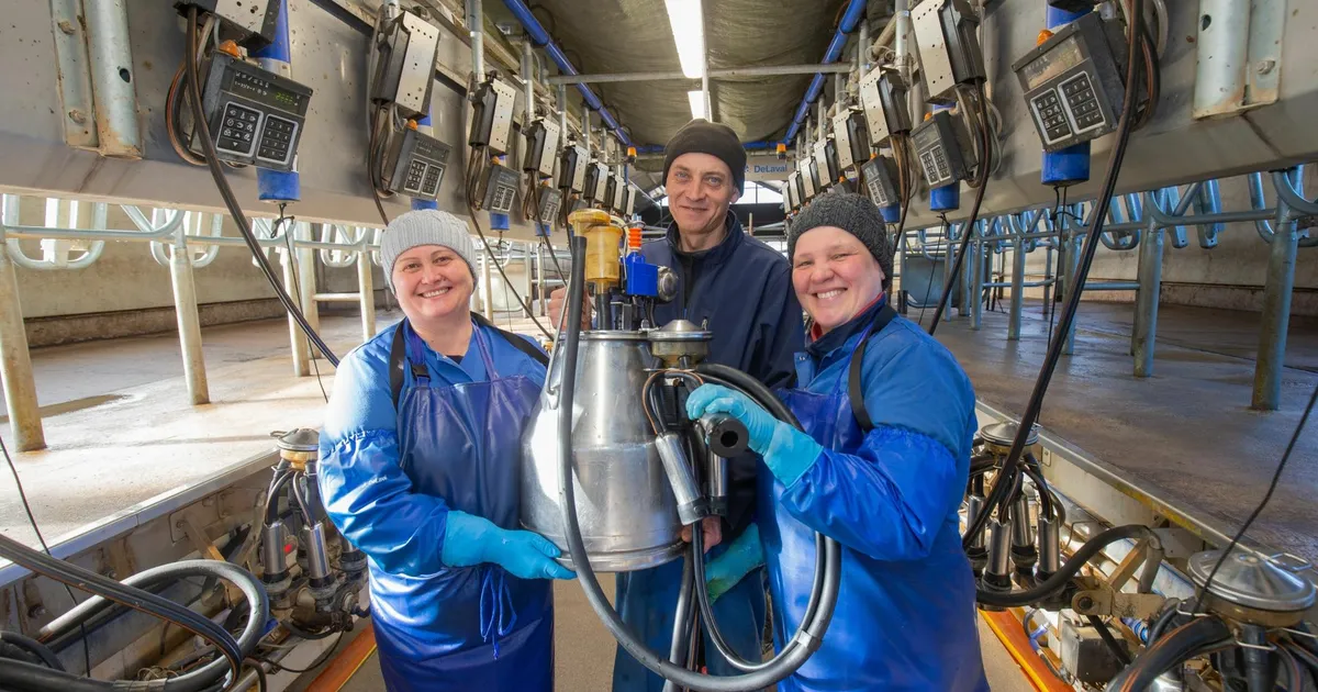 MARTIN EHALA Rändearutelu lähtub ettevõtja, mitte ühiskonna huvidest