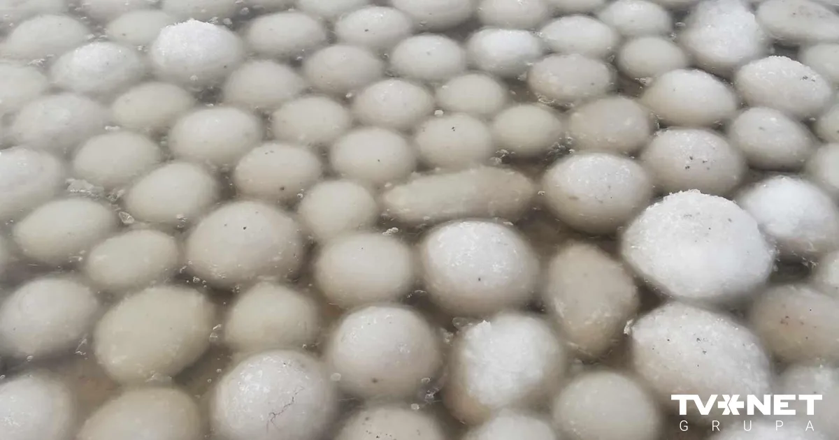 FOTO UN VIDEO Rets dabas fenomens Igaunijā. Pludmali klāj ledus "olas"