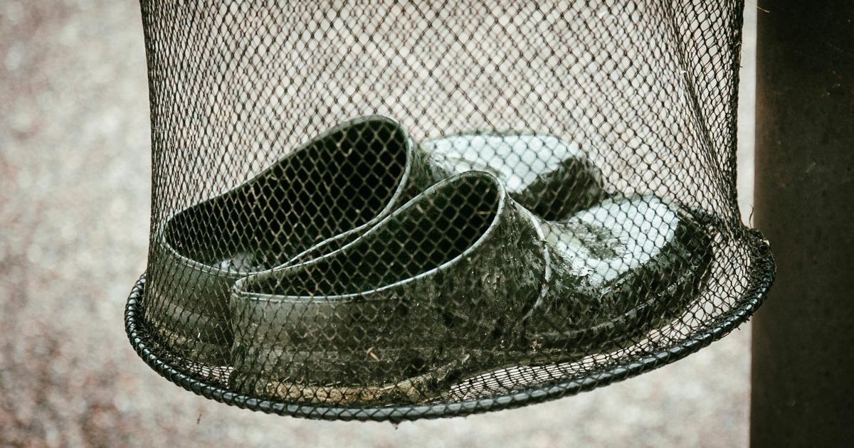 Vargad viisid vildid, kalossid ja nakkevõrgu