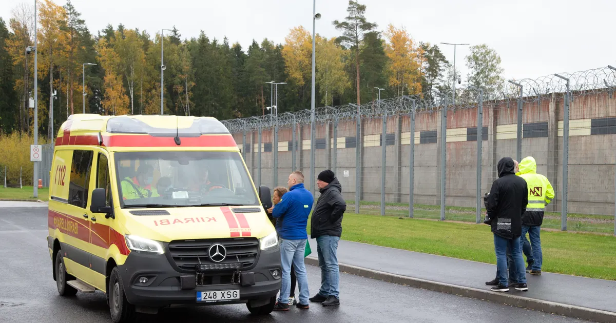 Ossipenko naine ja endine firmajuht lõid oligarhi raha pärast ...