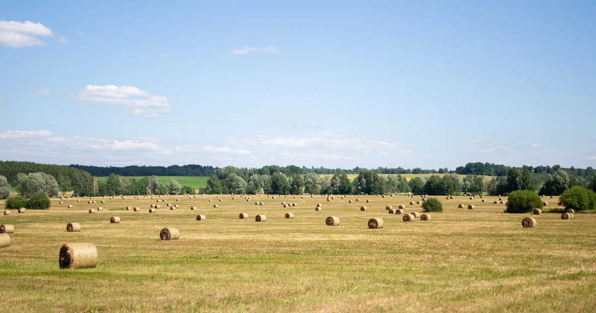 Läinud nädala ilus ilm päästis hobuseheina