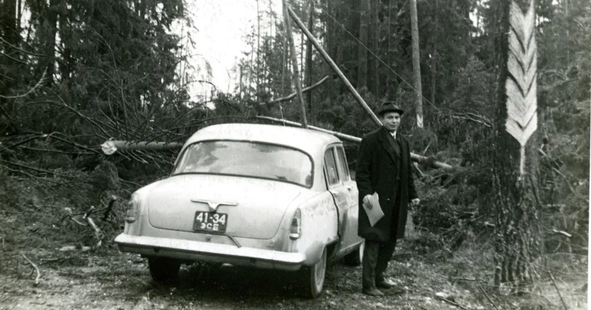 SAJANDI TORM "Raksatades langesid põlised puud, murdusid telefonipostid ...