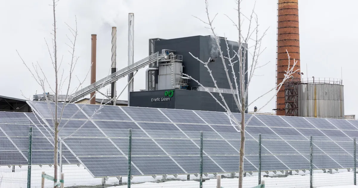 Paide toasoe on tänavu kallinenud neli korda
