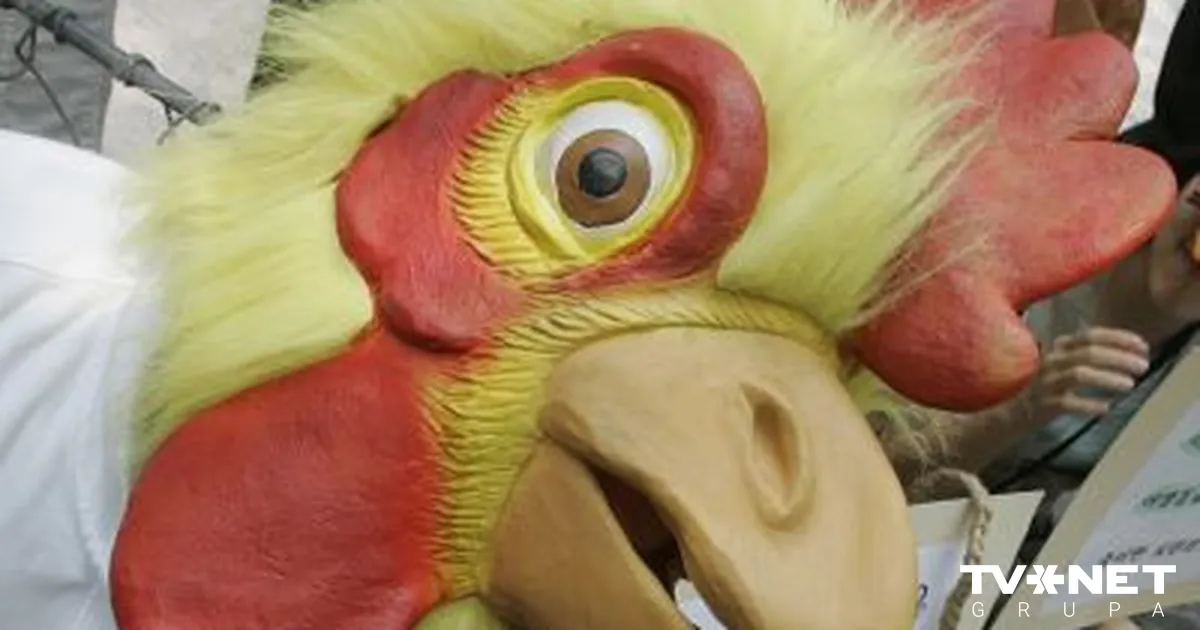 Dziesmas «Cāļus skaita rudenī» vācu versija