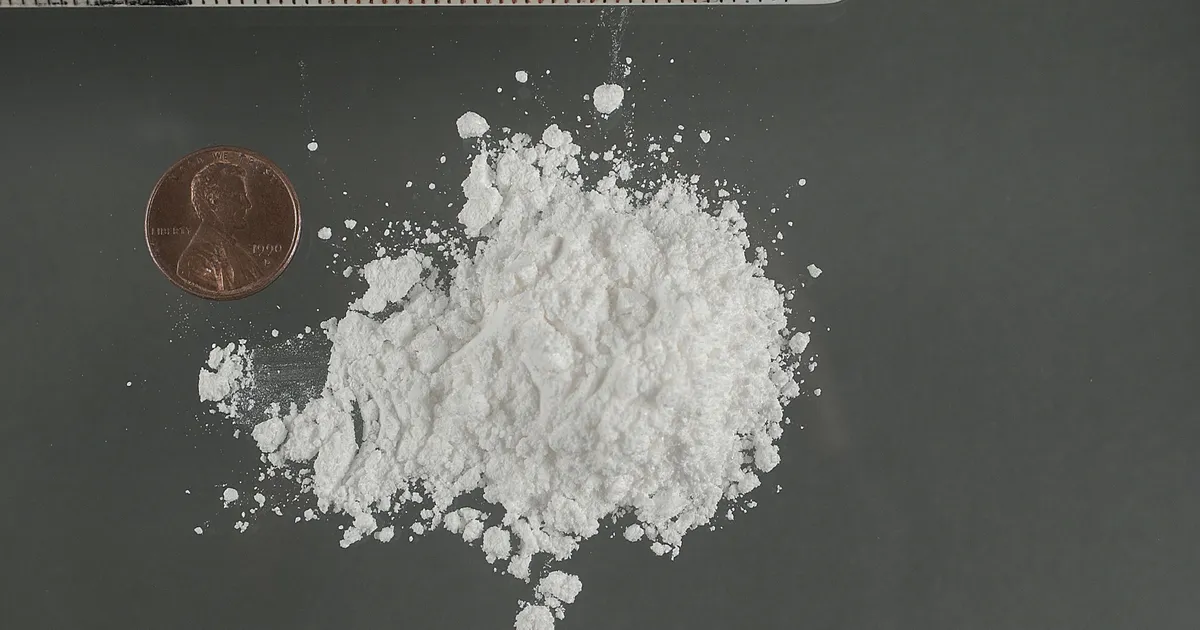 Drugs hidden in sculptures