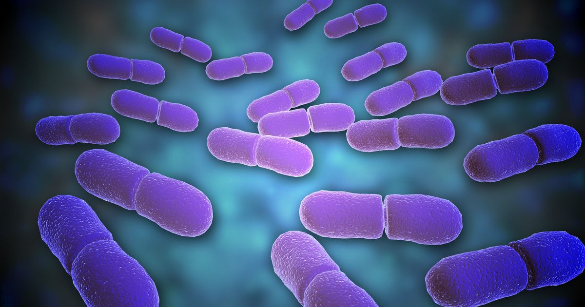 Georg Aher - Postimees: Värsked uudised Eestist ja välismaalt