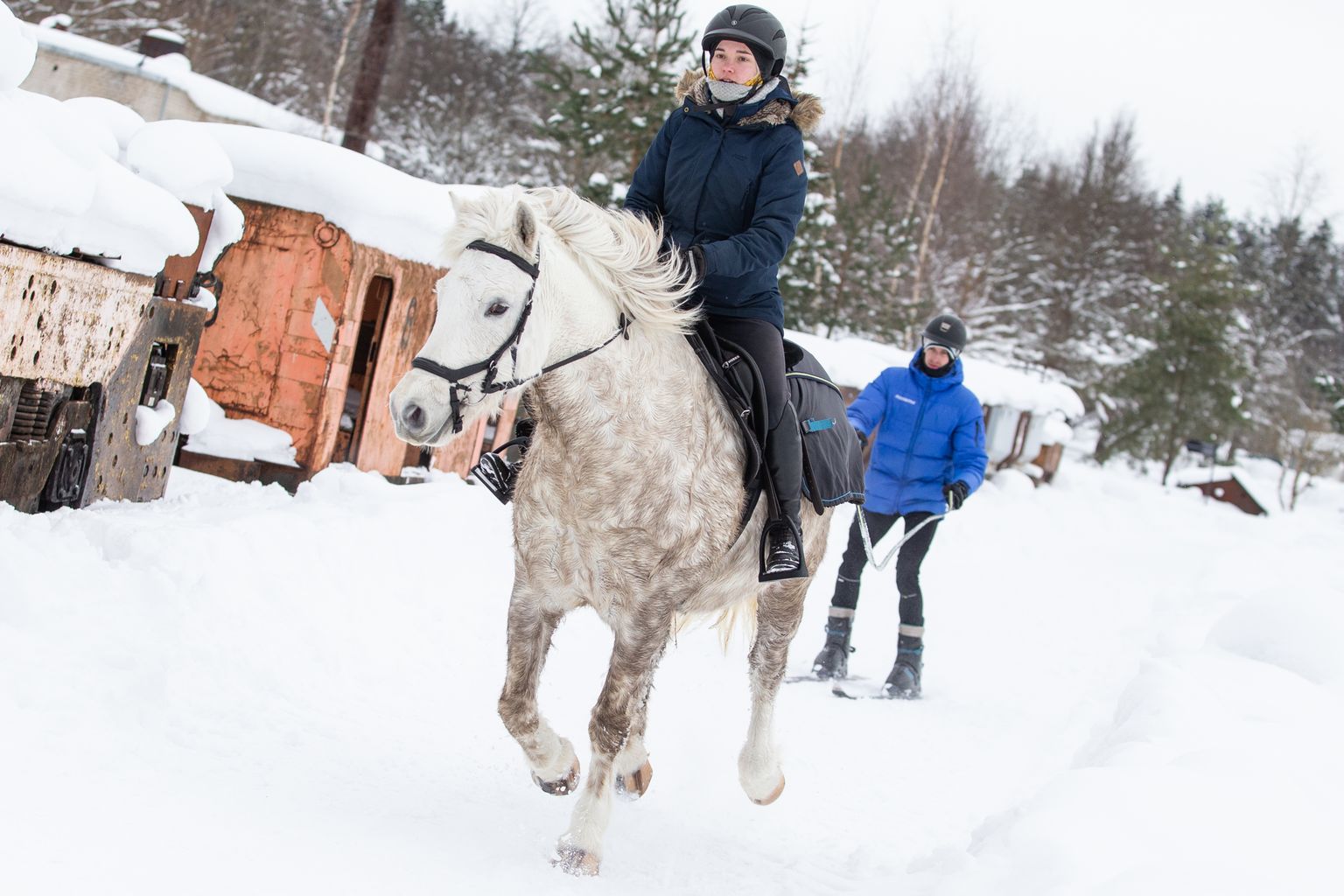 Vastlapäeva tõi põnevust hobusega suusatamine