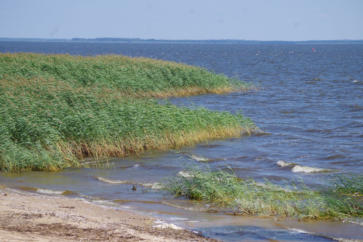 Laupäeval puhastatakse Peipsi järve vanadest võrkudest