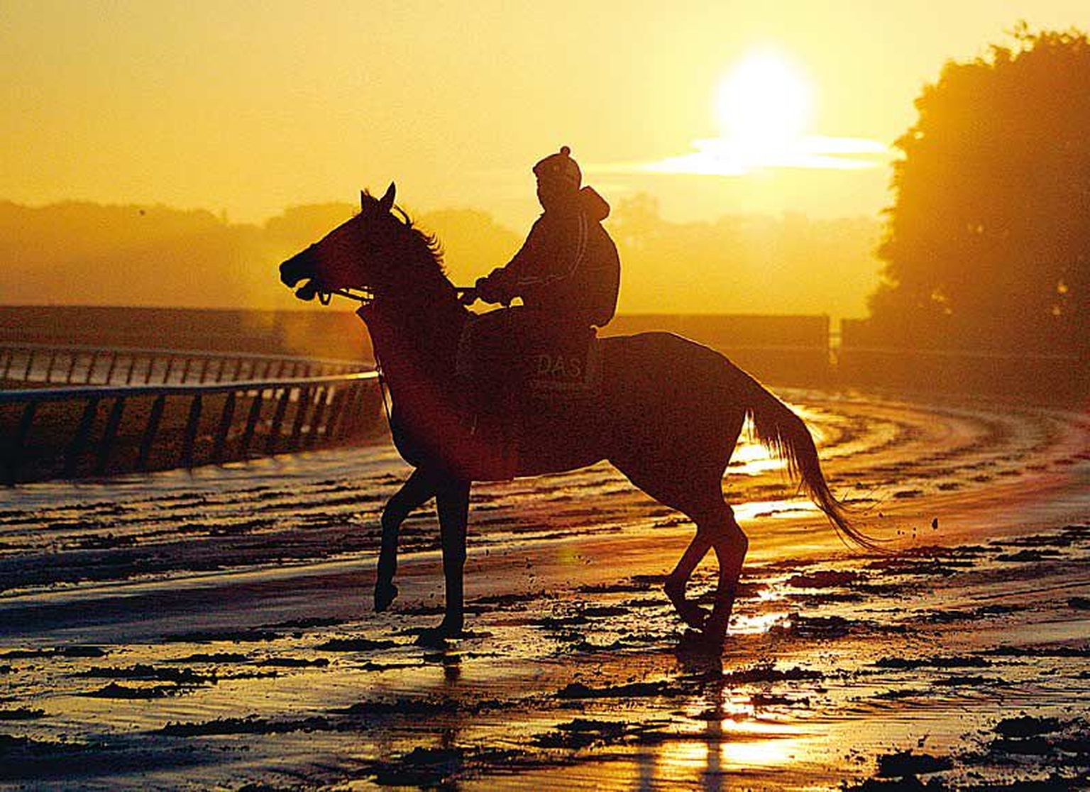 Päikeseloomas peitub tarkus ja jumalik suursugusus - Maailm - Postimees.ee
