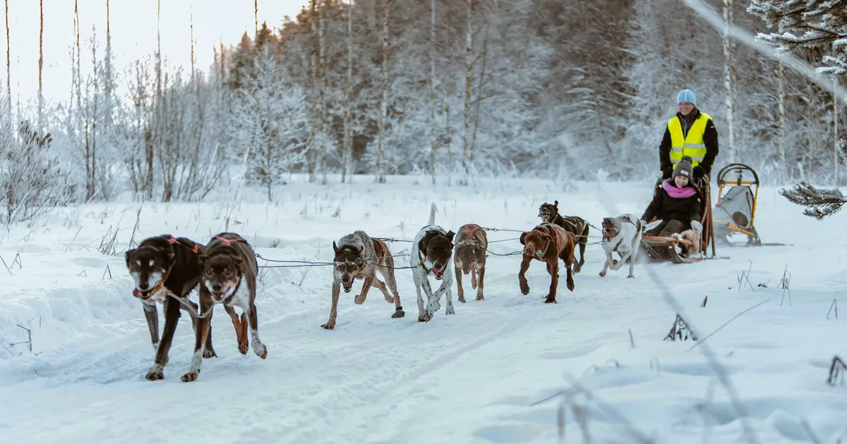 Järvamaa taustaga seikleja soovib pääseda polaarekspeditsioonile