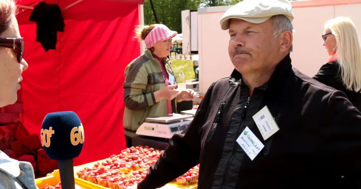 Mustangi talu kasvuhoonemaasikad on kallid, aga magusad