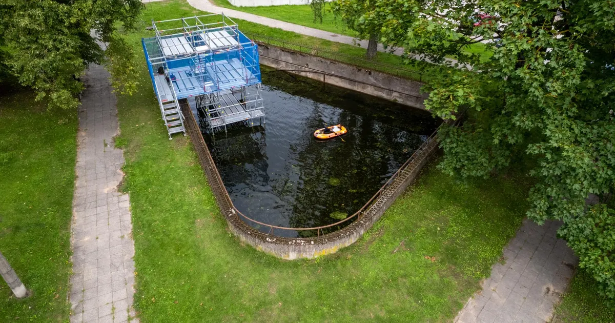 Linna vallutavad parasiidid