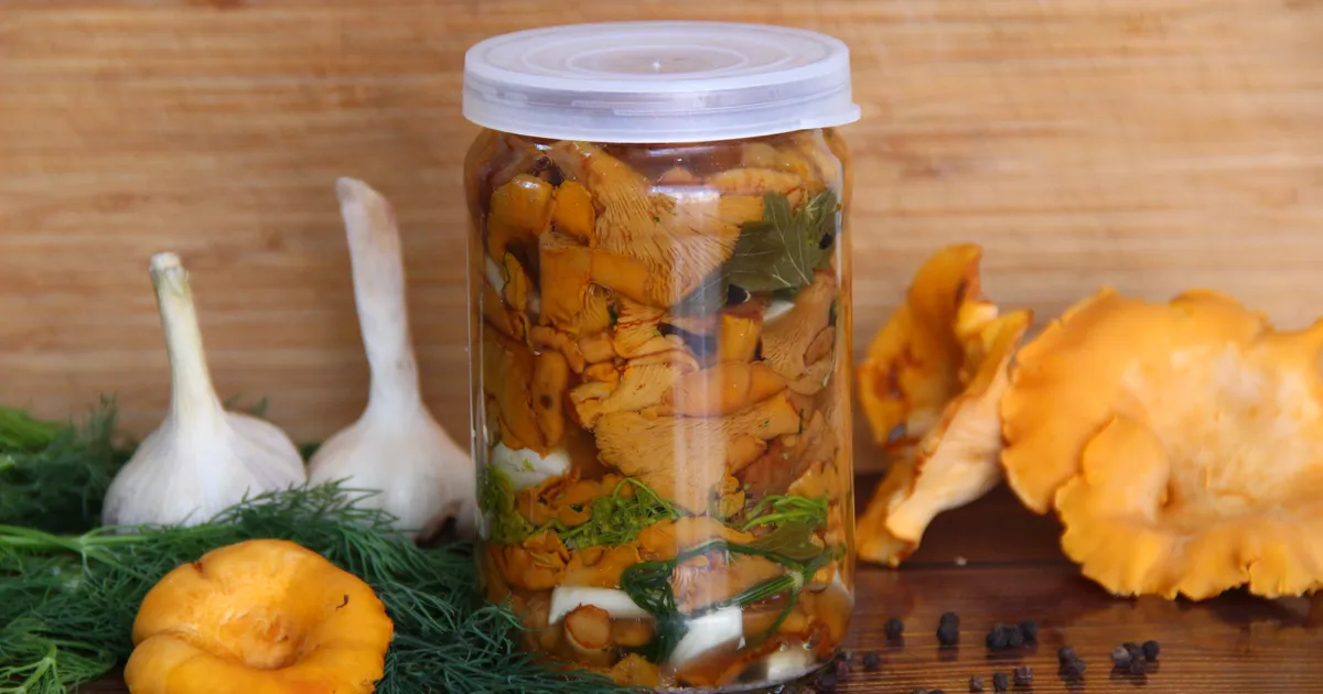 Gailenes - Receptes.lv — Garša ar vērtību!