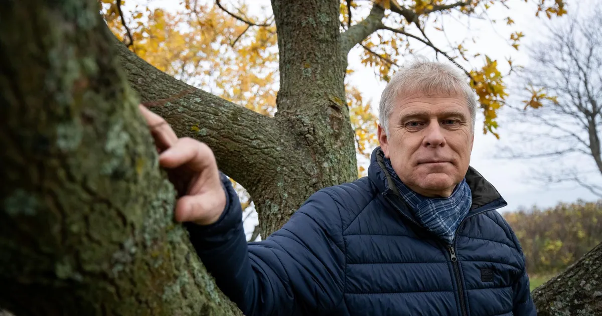 REGIONAALARENG Rivo Noorkõiv ja Ave Viks: pilk tuleb suunata betoonilt ...