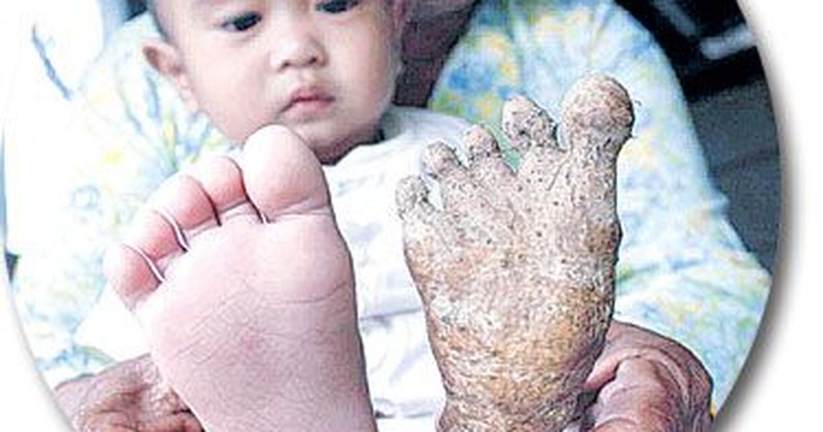 Malaislanna kasvatas inimjalakujulise manioki - Kirev elu - Elu24 ...