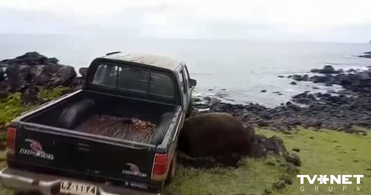 FOTO Slaveno Lieldienu salas statuju pilnībā iznīcinājis neuzmanīgs ...