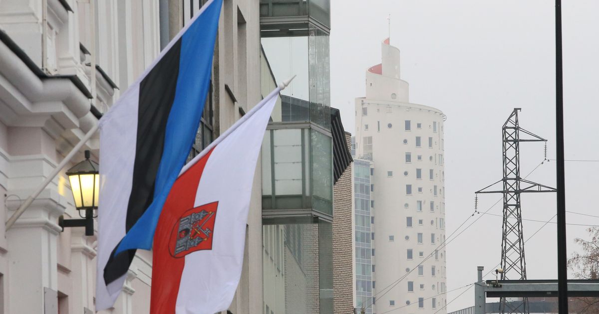 Muuseumid kavandavad kultuuripealinna aastaks ühisnäitust «Peedist ...