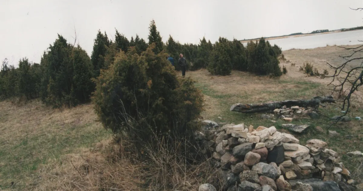 Rakvere teatri noored näitlejad osalevad suvelavastuses