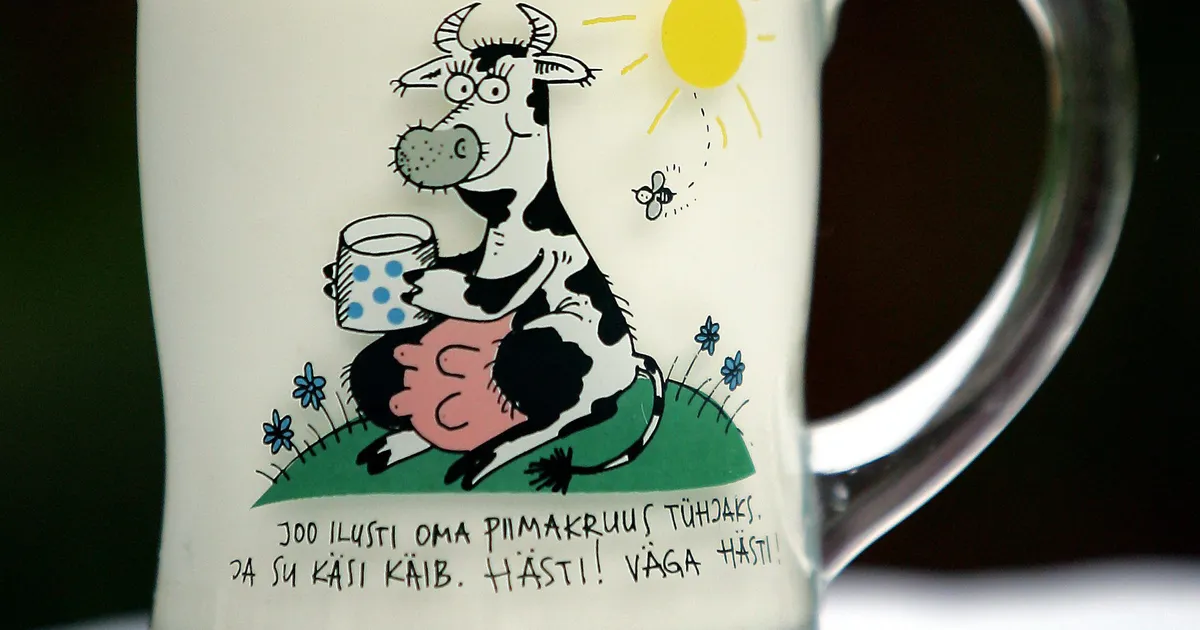 Piimapäev tuletab meelde: 6 põhjust, miks piima ja piimatooteid tarbida