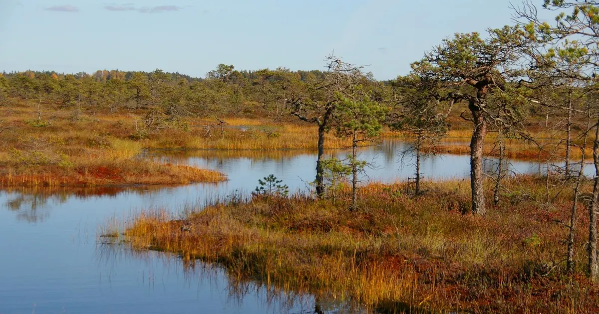 Jahimehed aitasid vana-aasta õhtul hätta sattunud pere rabast välja