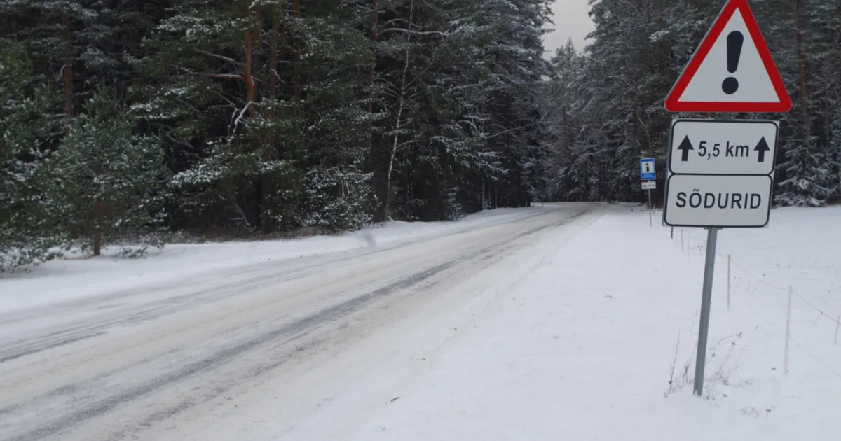OUDEKKI LOONE Suur Peeter ja Väike Peeter Nursipalus