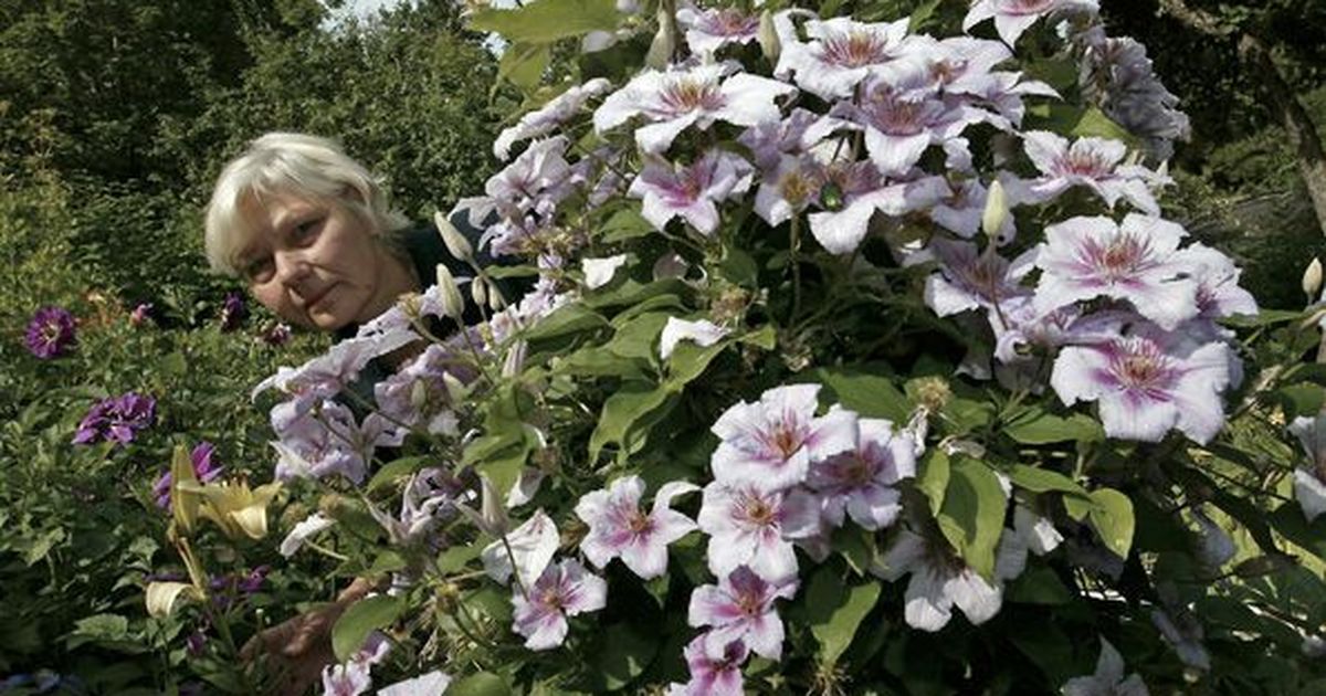 Kaunid kodud võluvad lillede ja veesilmadega
