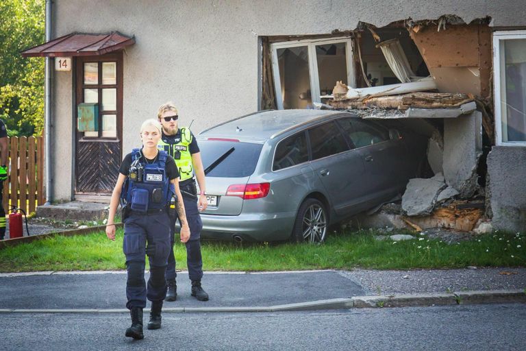 TIPP-25 Suur maalihe, läbi seina põrutanud üle linna Vinski, Kanaküla ...