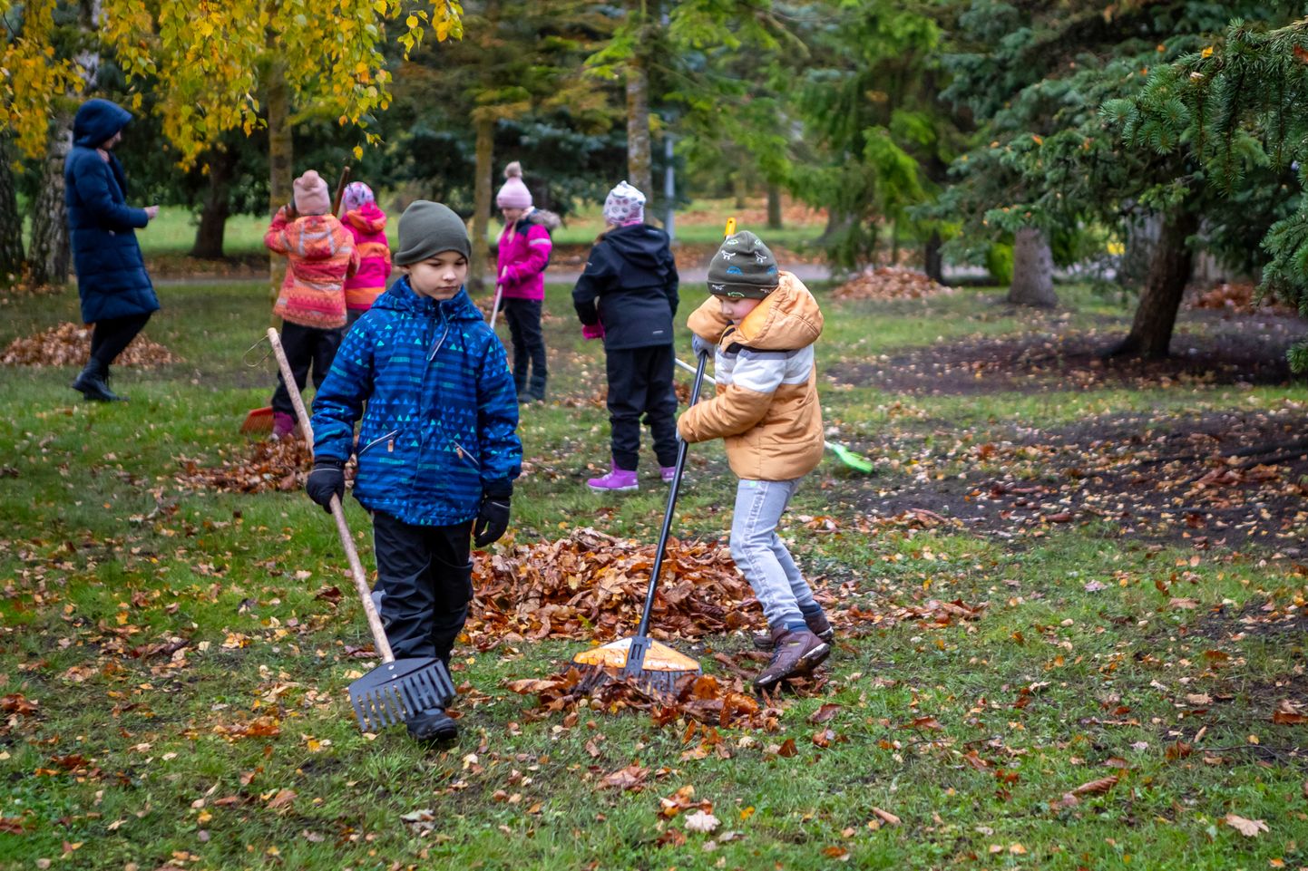 NÄDALA KIITUS / NÄDALA LAITUS