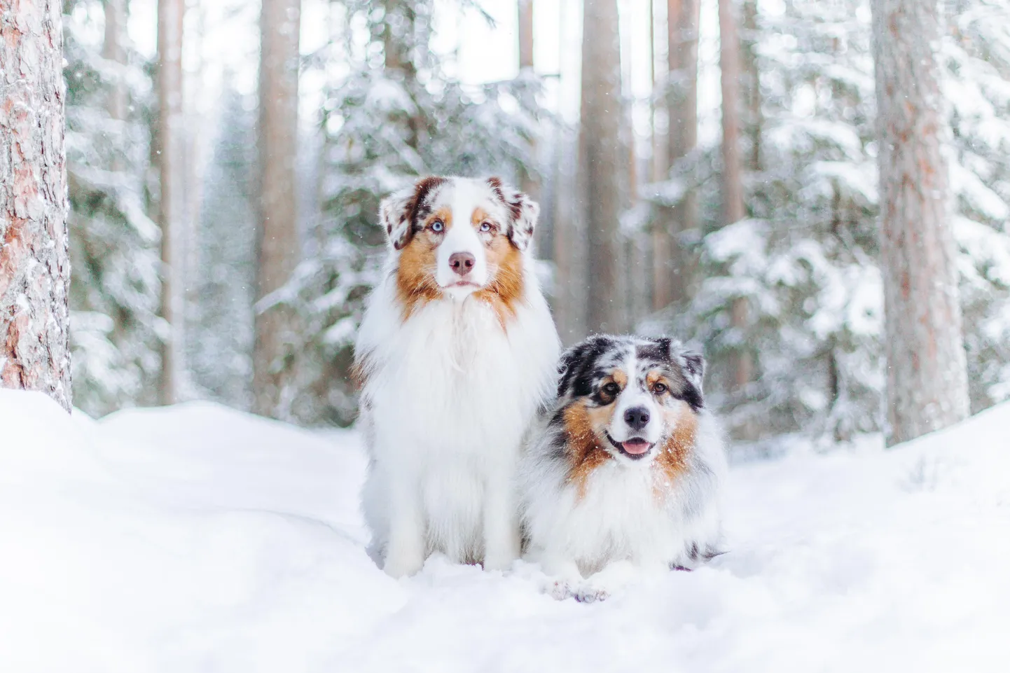 10 uue aasta lubadust, mis on inspireeritud meie lemmikutest