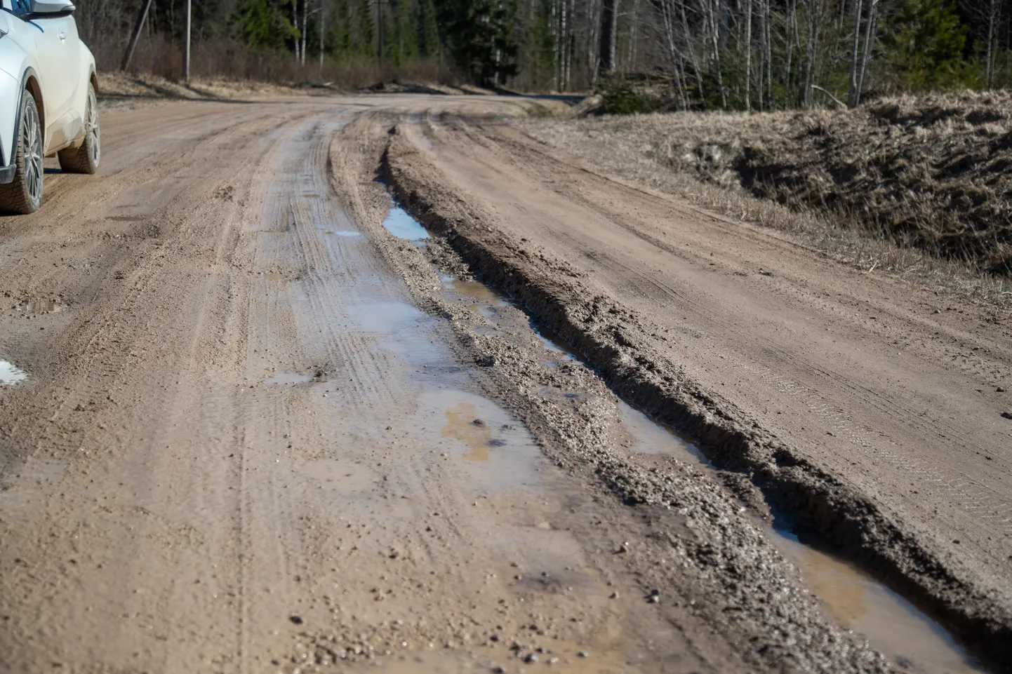 Pikale veninud talv takistas höövlite hooaja algust