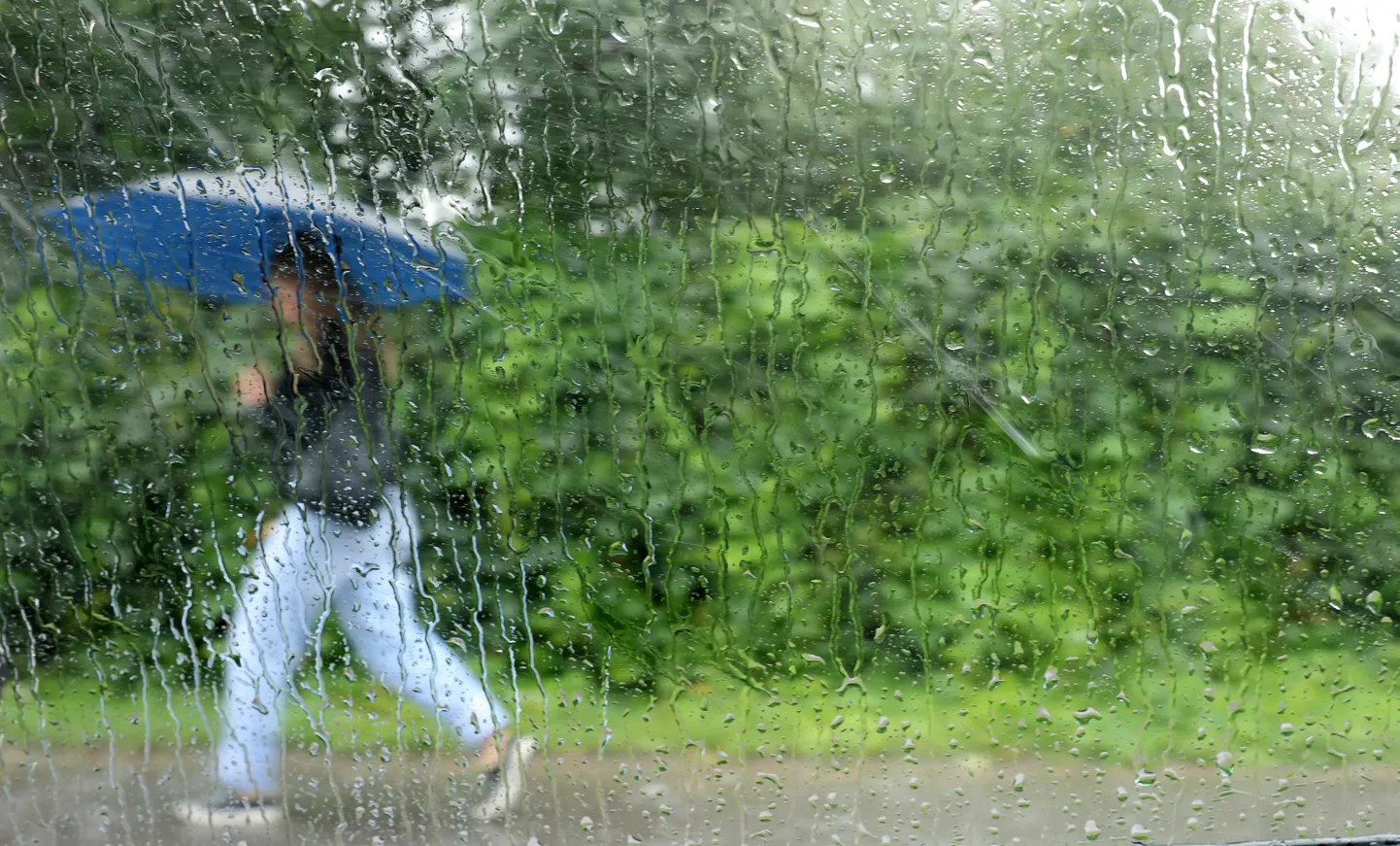 Vihm ja tugev tuul: lähipäevad toovad heitliku ilma