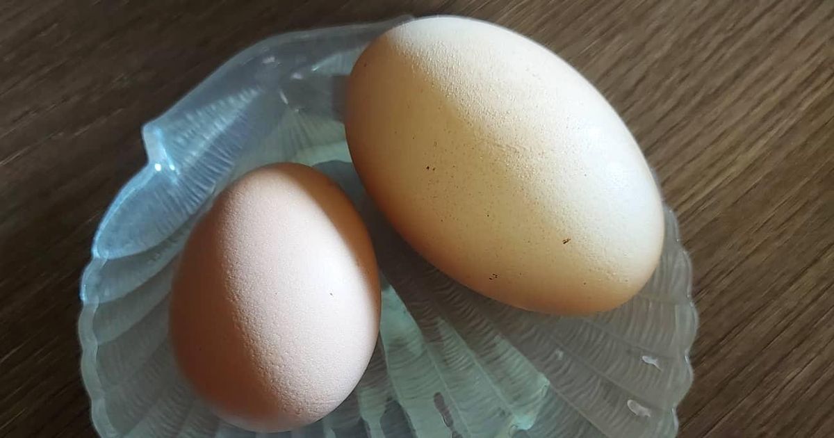 Pilvistu talu kana munes hiigelmuna