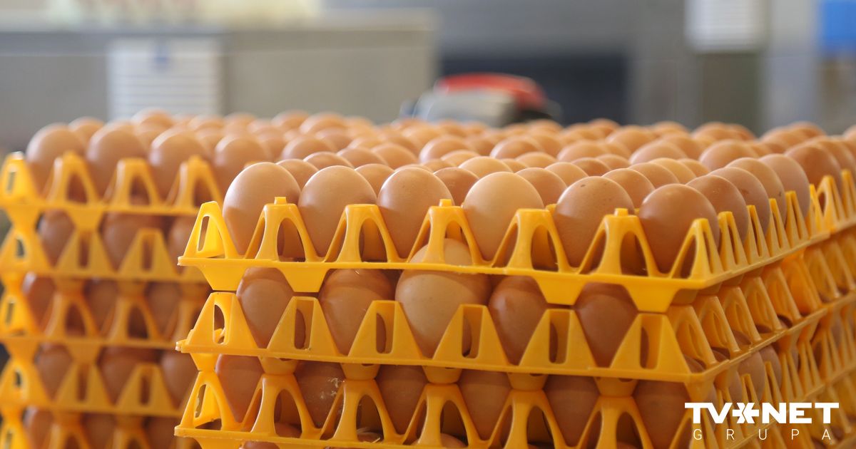 Olu ražotāja "Balticovo" apgrozījums pērn pieauga par 14,9%