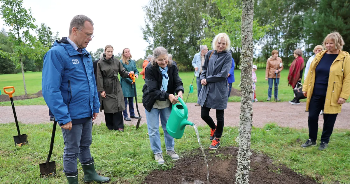 PILDID Tartu tammik sai kuue puu võrra rikkamaks