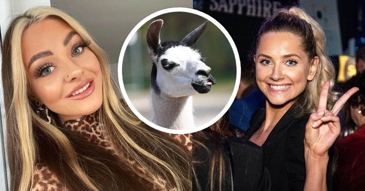 Seidit laamaga võrrelnud Brigitte sai korraliku netikoslepi: ta võiks ...