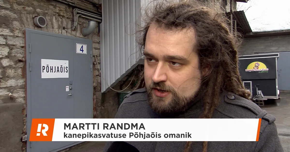 Reporter: Politsei kiusab Eesti kanepikaupmehi ilmaasjata?