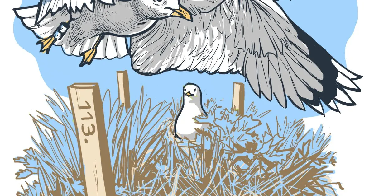 TUUL SEPP Milline on kajakate iseloom?