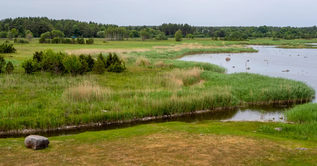 HARRY RAUDVERE Veel kord maamaksust