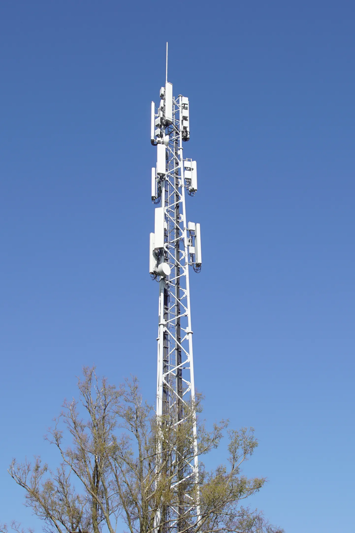 TRAAGILINE ÕNNETUS Soomes kukkus TikToki trendiga kaasa läinud noor ...