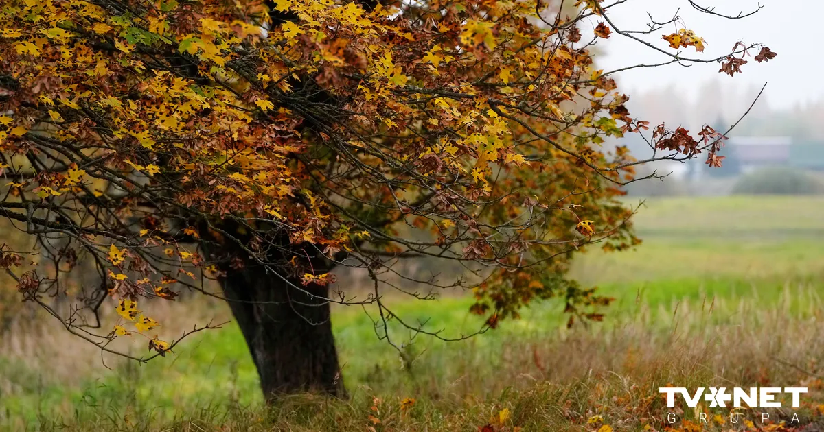Svētdien sāksies astronomiskais rudens