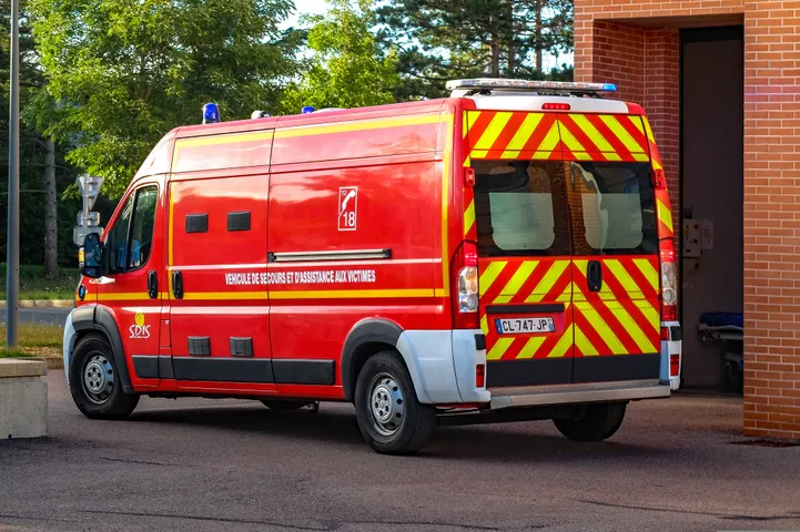 Anekdoot: poiss, koer ja väike tuletõrjeauto