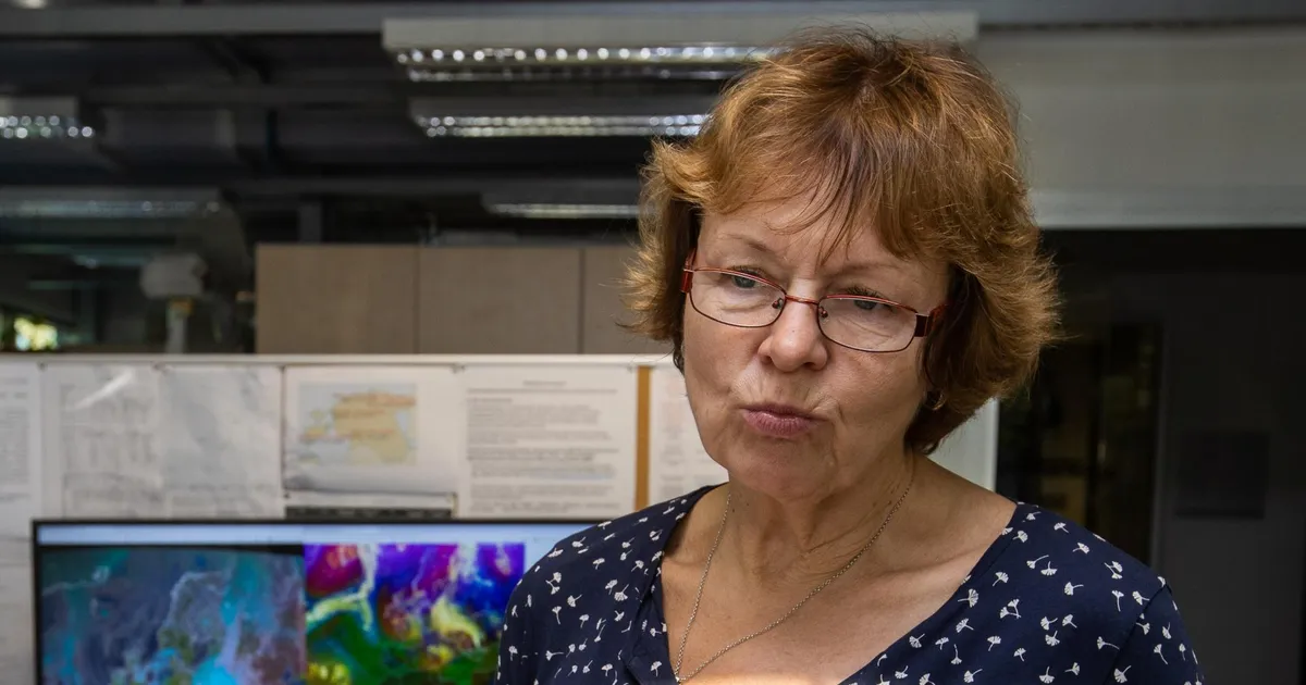 Taimi Paljak: ilmateenistus ühtki hoiatust kergekäeliselt ei anna