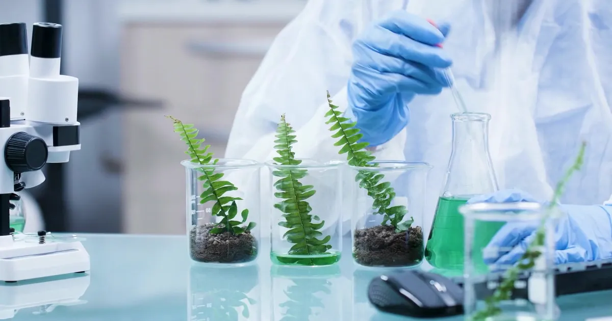 Kust võtab niigi raskel ajal Eesti raha rohkemateks roheinvesteeringuteks?