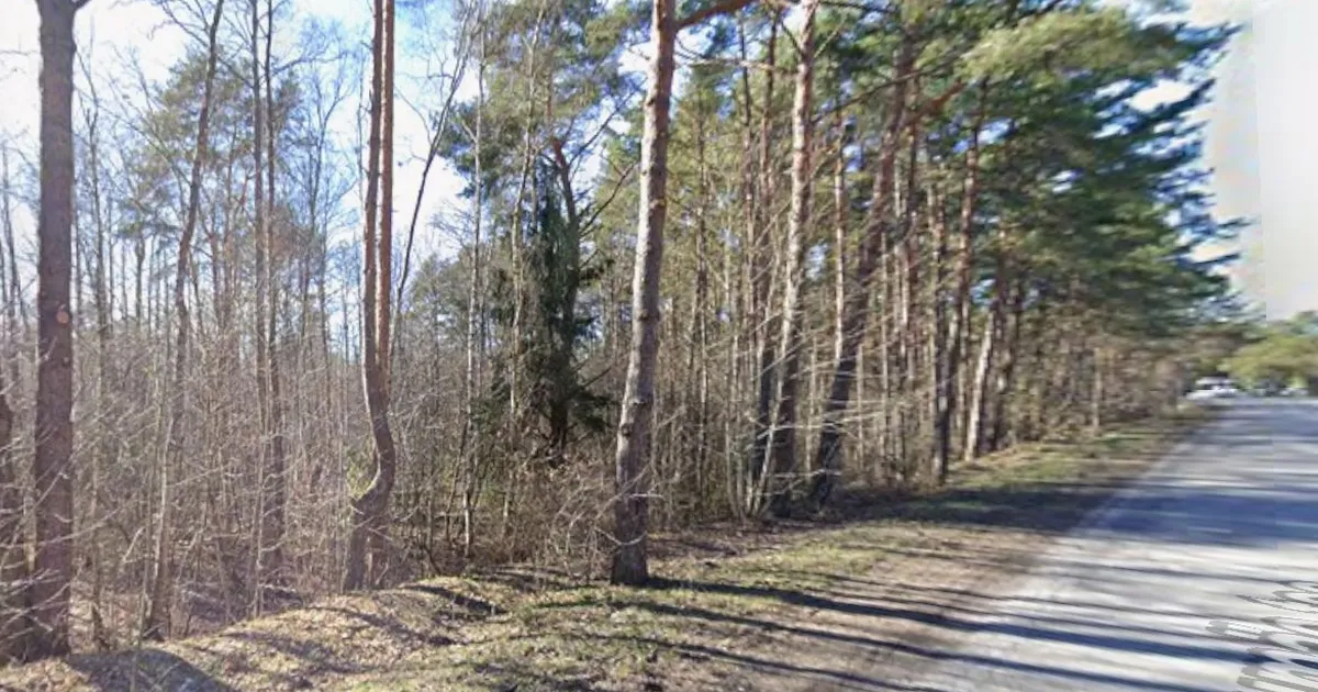 Maa-amet takistab Kakumäe kaitseala loomist, linnavalitsus pöördus abi ...