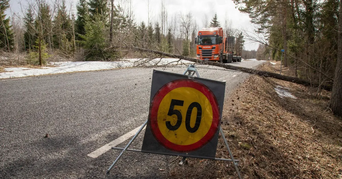 Tugev tuul võib murda teedele puid ja oksi