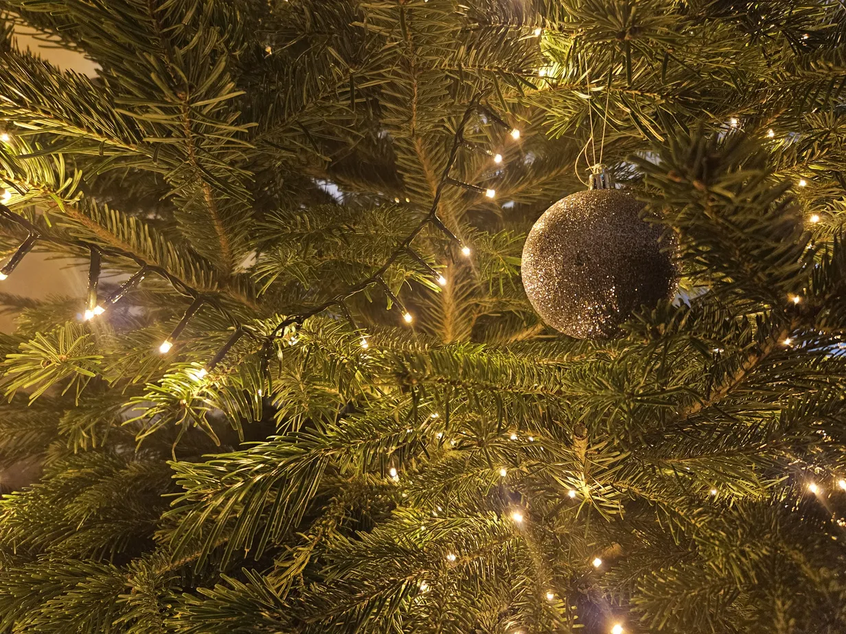 LUULEABI Pärnumaa lapsed mõtlesid välja 188 jõululuuletust