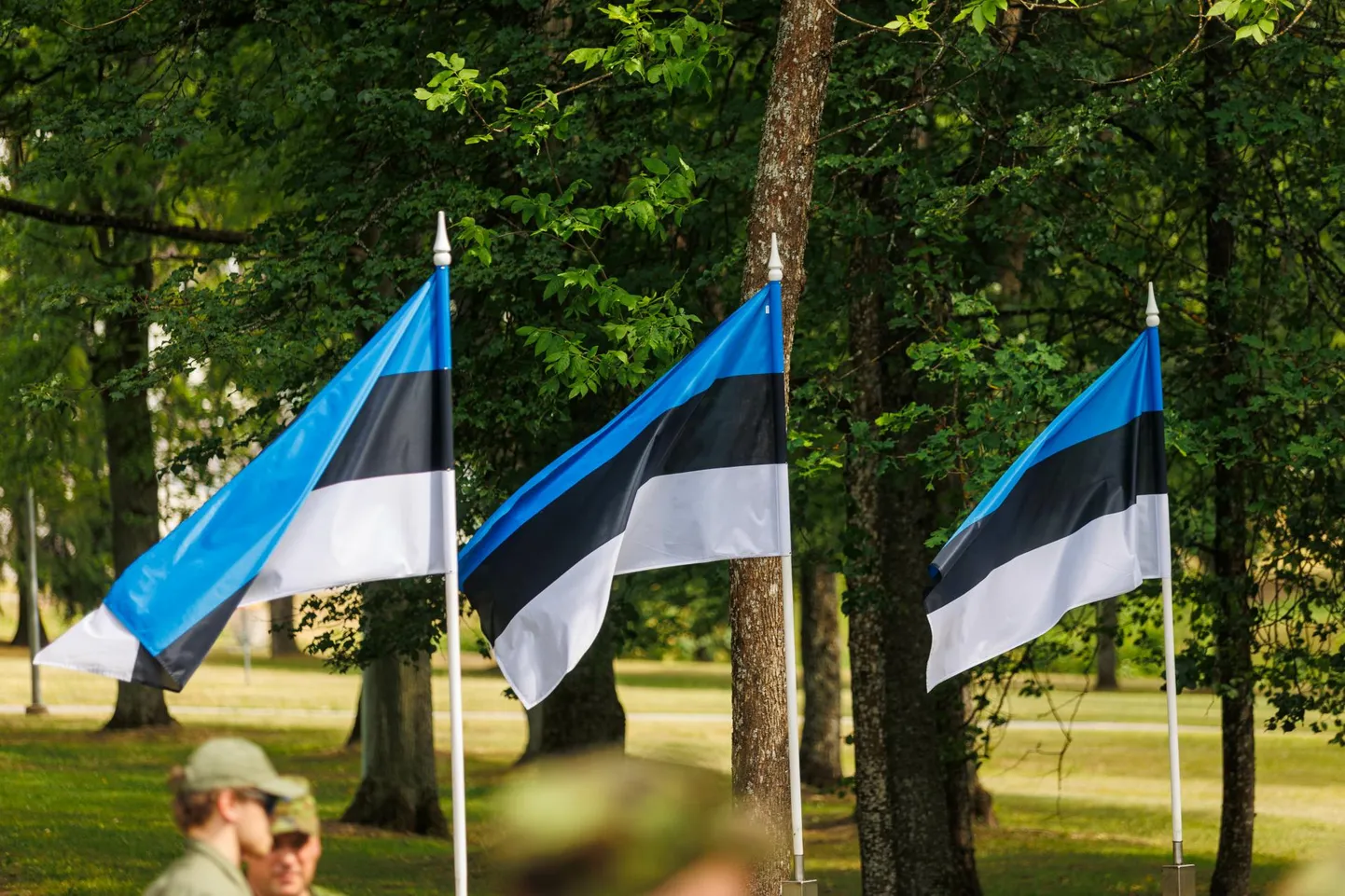 Eesti lipu päeval lehvib sinimustvalge üle ilma