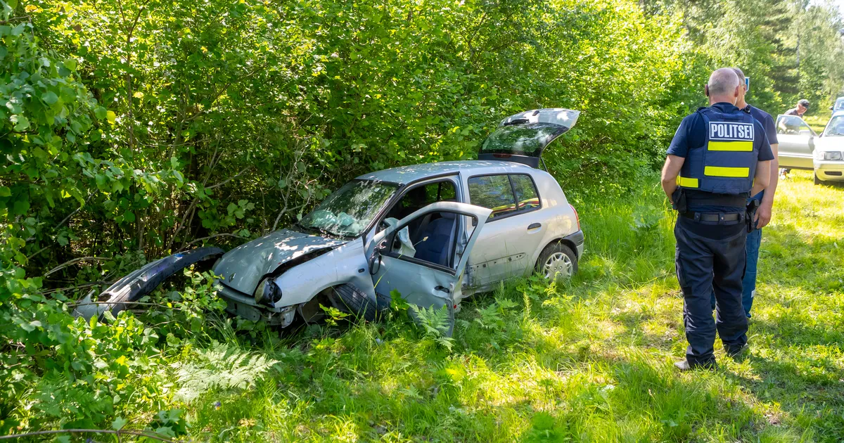 VEEL ÜKS AVARII Lahtisest aknast sisse lennanud putukas põhjustas ...
