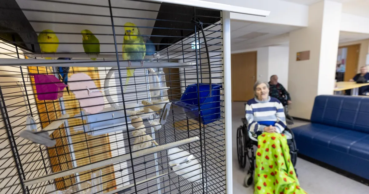 LUUBI ALL Suur ülevaade: riik koorib omavalitsustelt ...