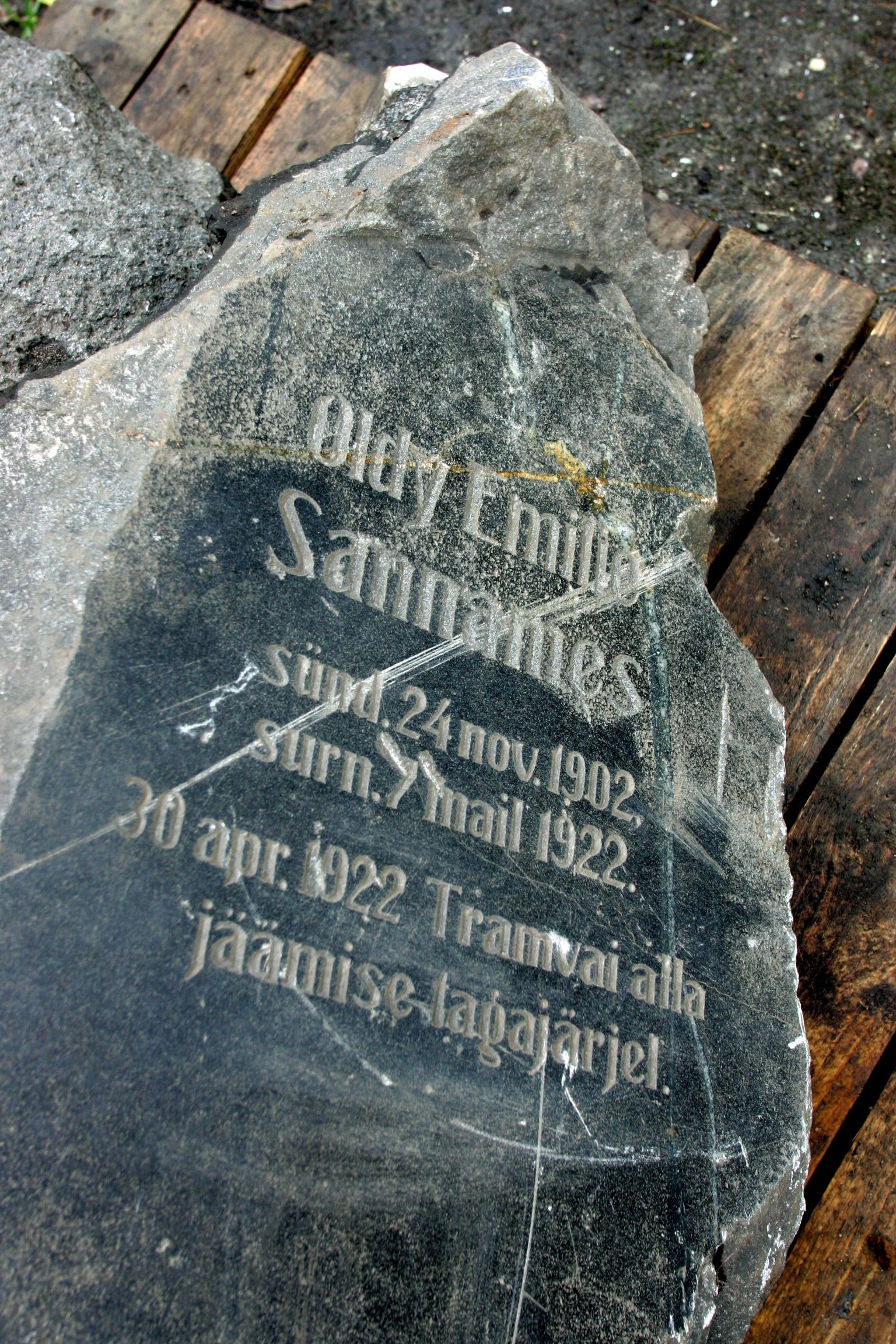 Kalamaja kalmistupargist kujuneb Tallinna kevadpark - Tallinn ...